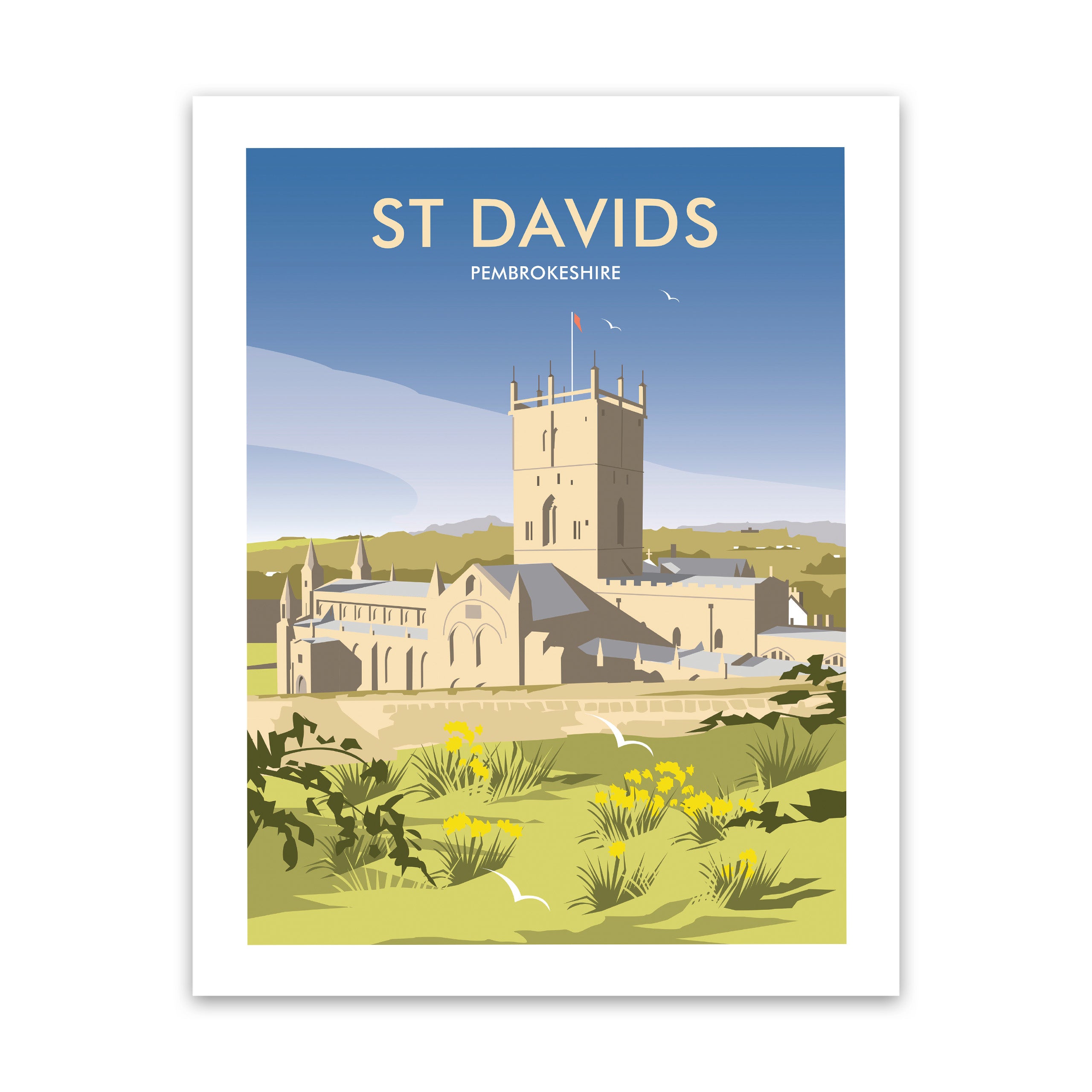 St Davids - Pembrokeshire Art Print – Dave Thompson Art
